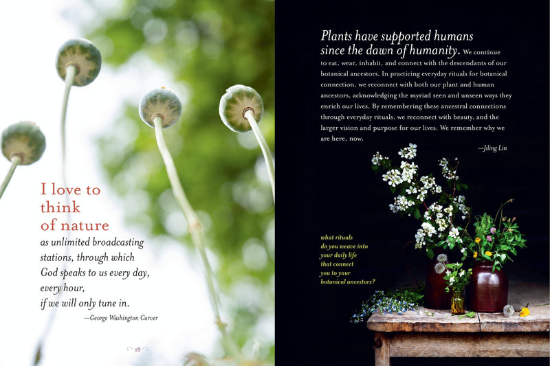 The Generosity Of Plants – Mountain Hollow